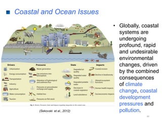 20220915-Sustainable Coastal urbanization and marine eco-environmental ...