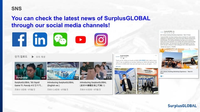 SurplusGlobal.pdf