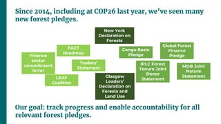 Forest Declaration Assessment: are we on track for 2030? | PPTX