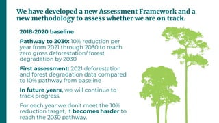 Forest Declaration Assessment: are we on track for 2030? | PPTX