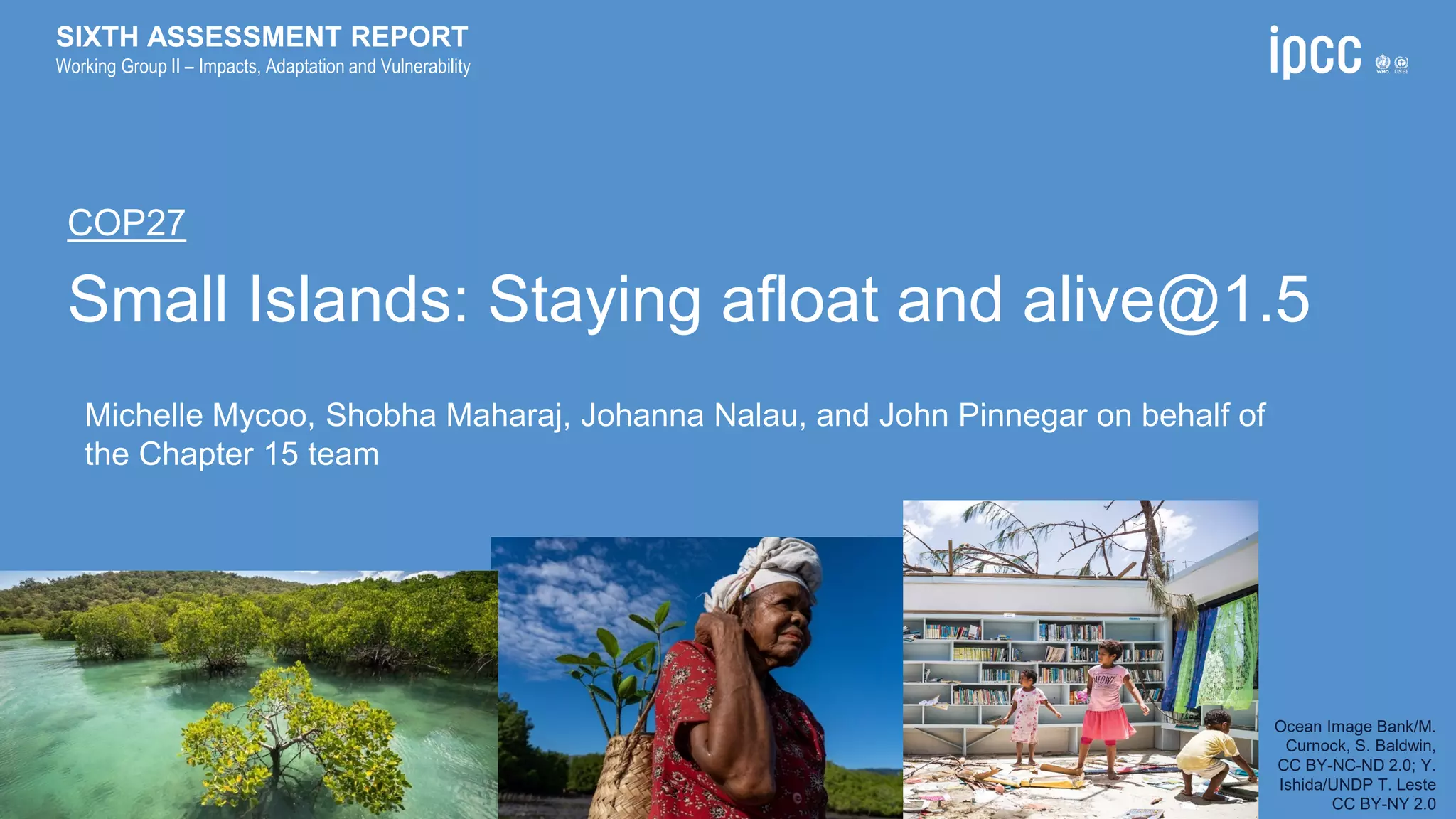 Small Islands: Staying afloat and alive@1.5 | PDF