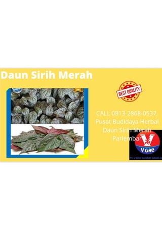 Daun 5 | PDF | Herbs and Supplements | Alternative Medicine