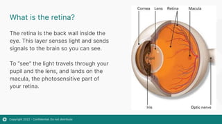 Using Artificial Intelligence for Detection of Systemic Diseases in Retinal Images | PDF | Eye ...