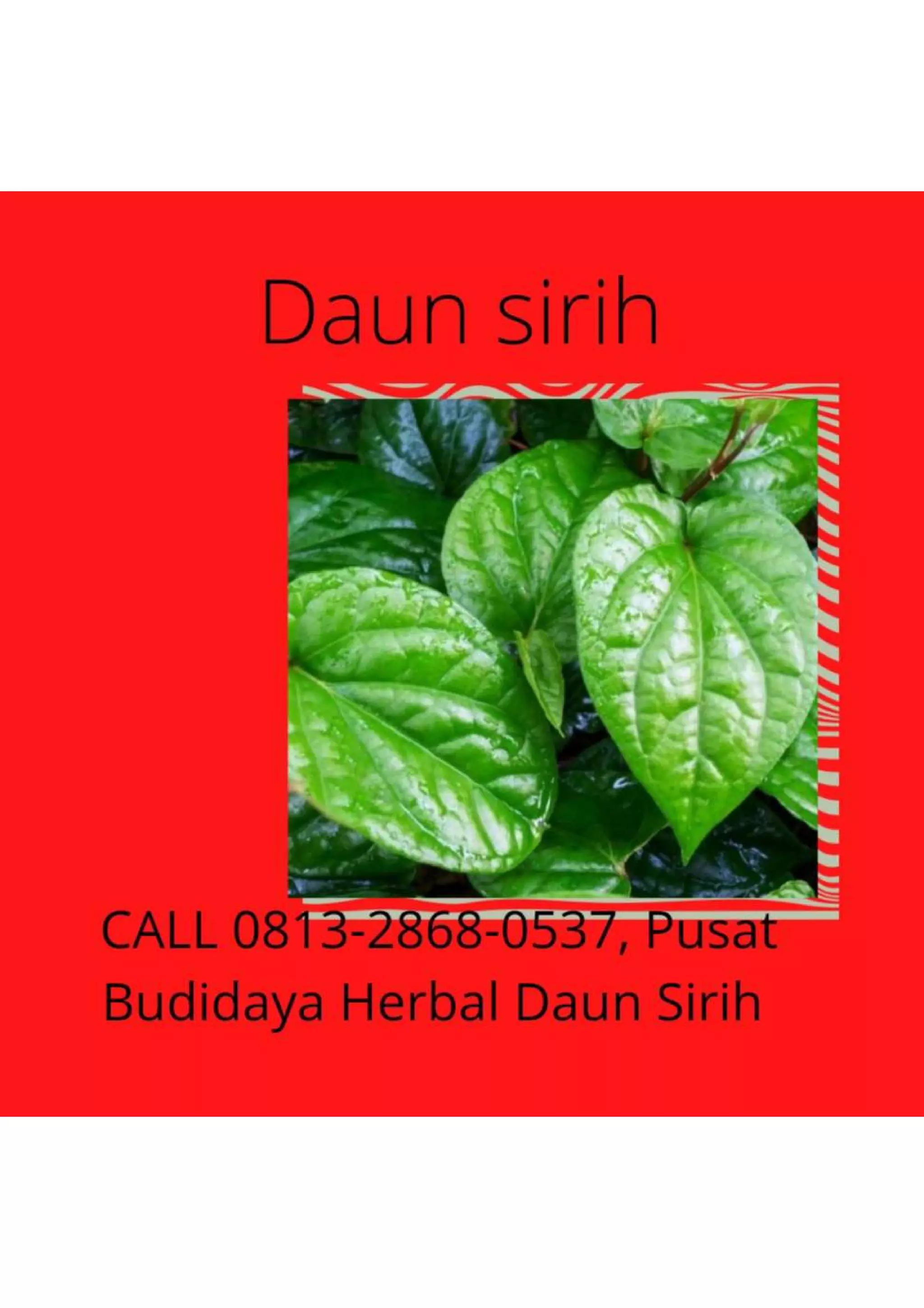 Daun 3 | PDF