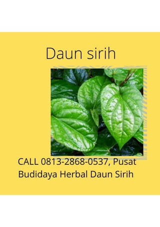 Daun 5 | PDF