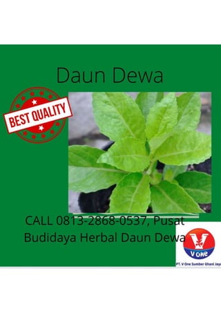 Daun 4 | PDF