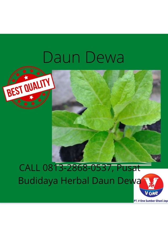 Daun 4 | PDF