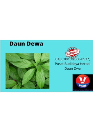 Daun 5 | PDF