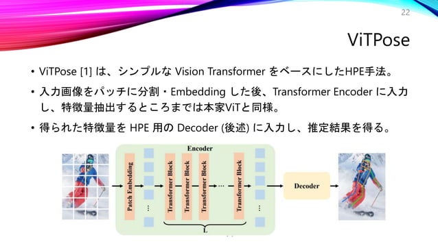 「解説資料」ViTPose: Simple Vision Transformer Baselines for Human Pose Estimation | PPTX | Artificial ...