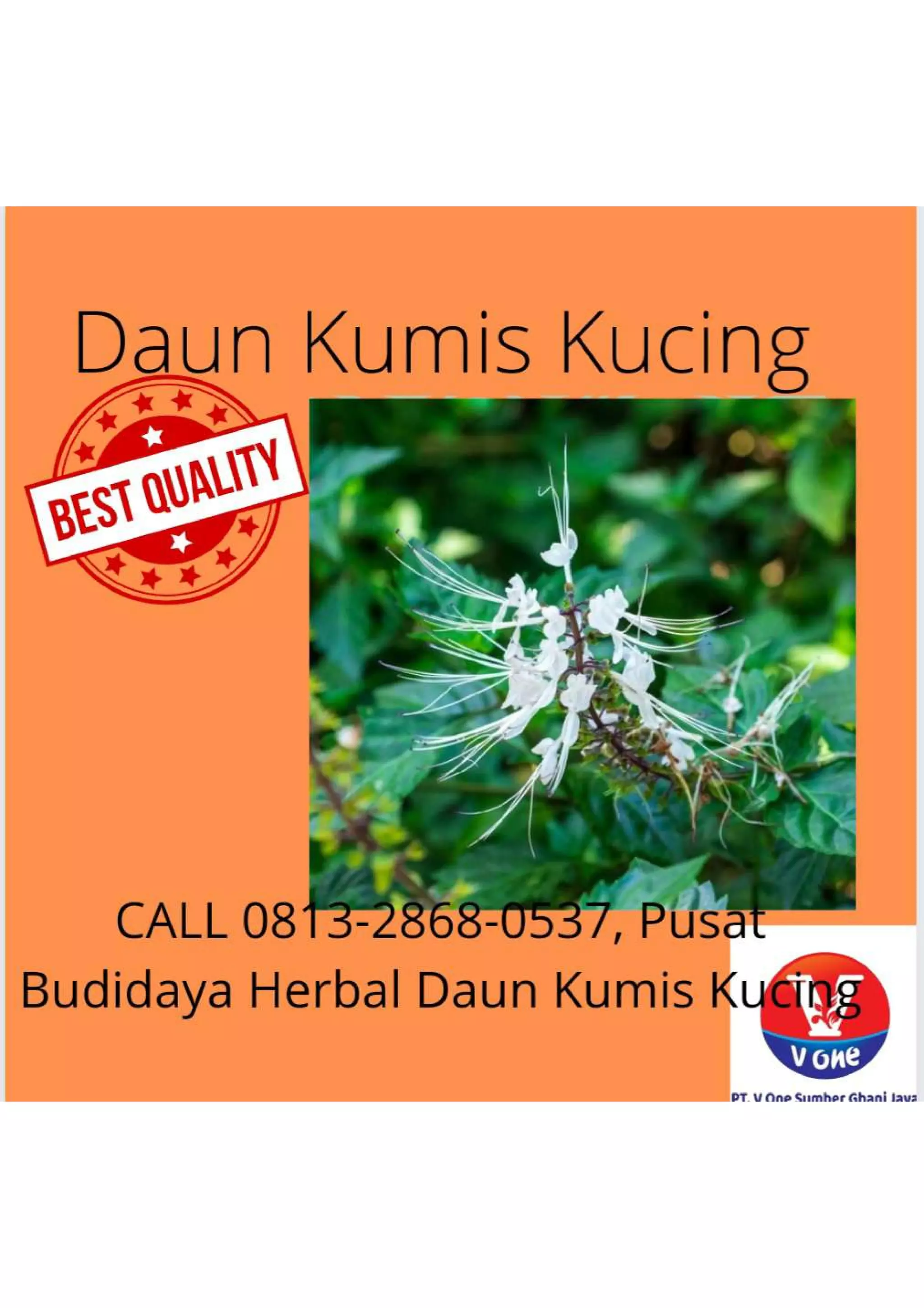 Daun 2 | PDF