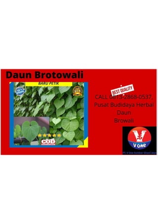 Daun 3 | PDF