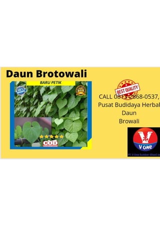 Daun 5 | PDF | Free Download