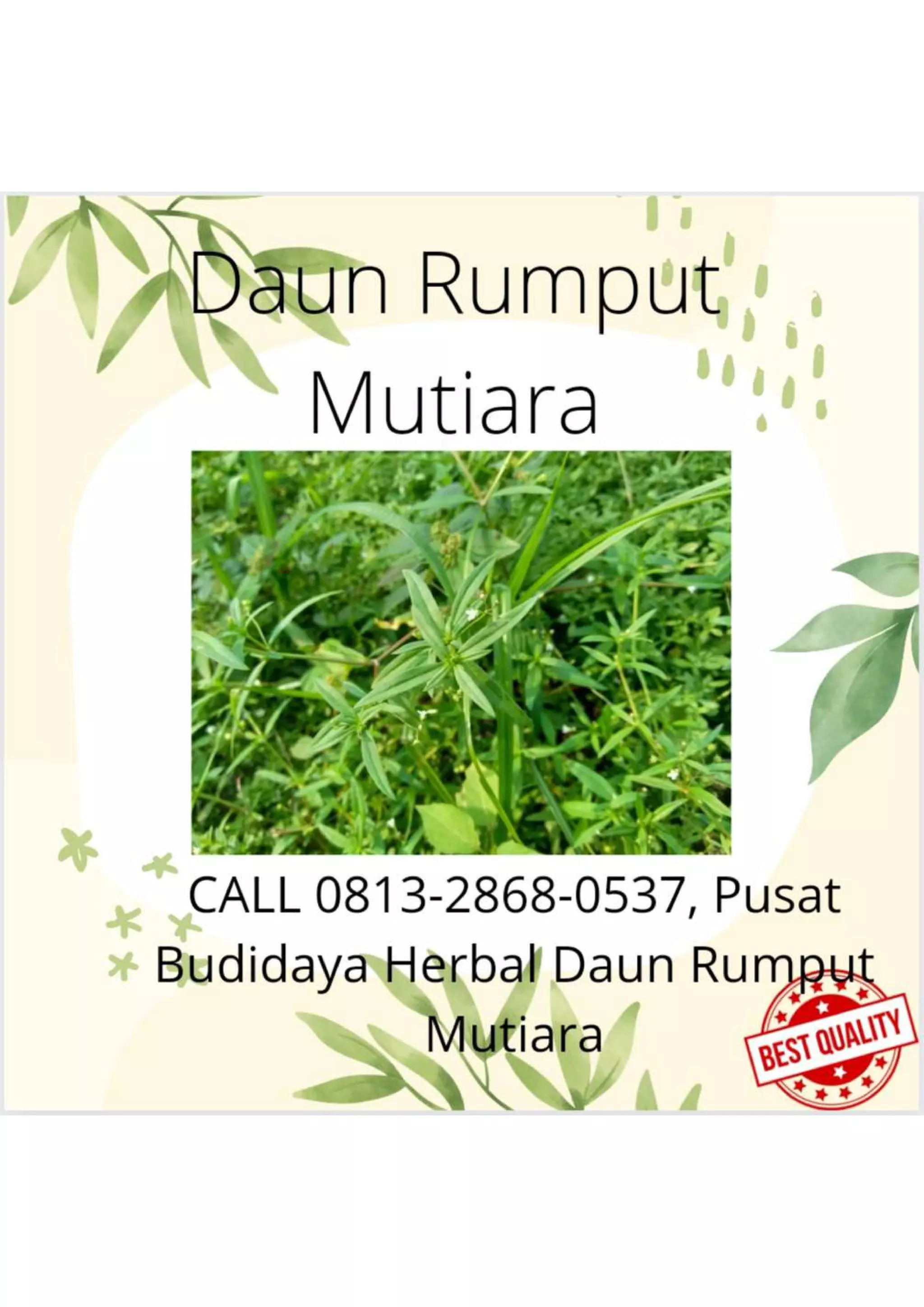 Daun 1 | PDF