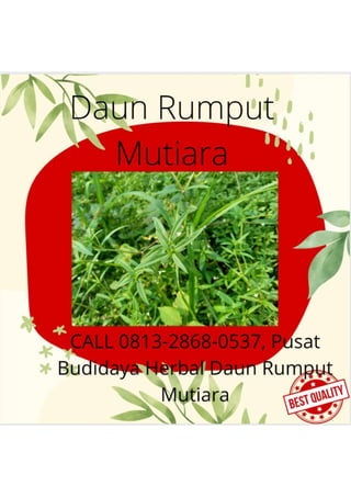 Daun 2 | PDF