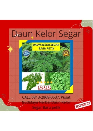 Daun 2 | PDF