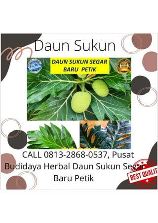 Daun 1 | PDF