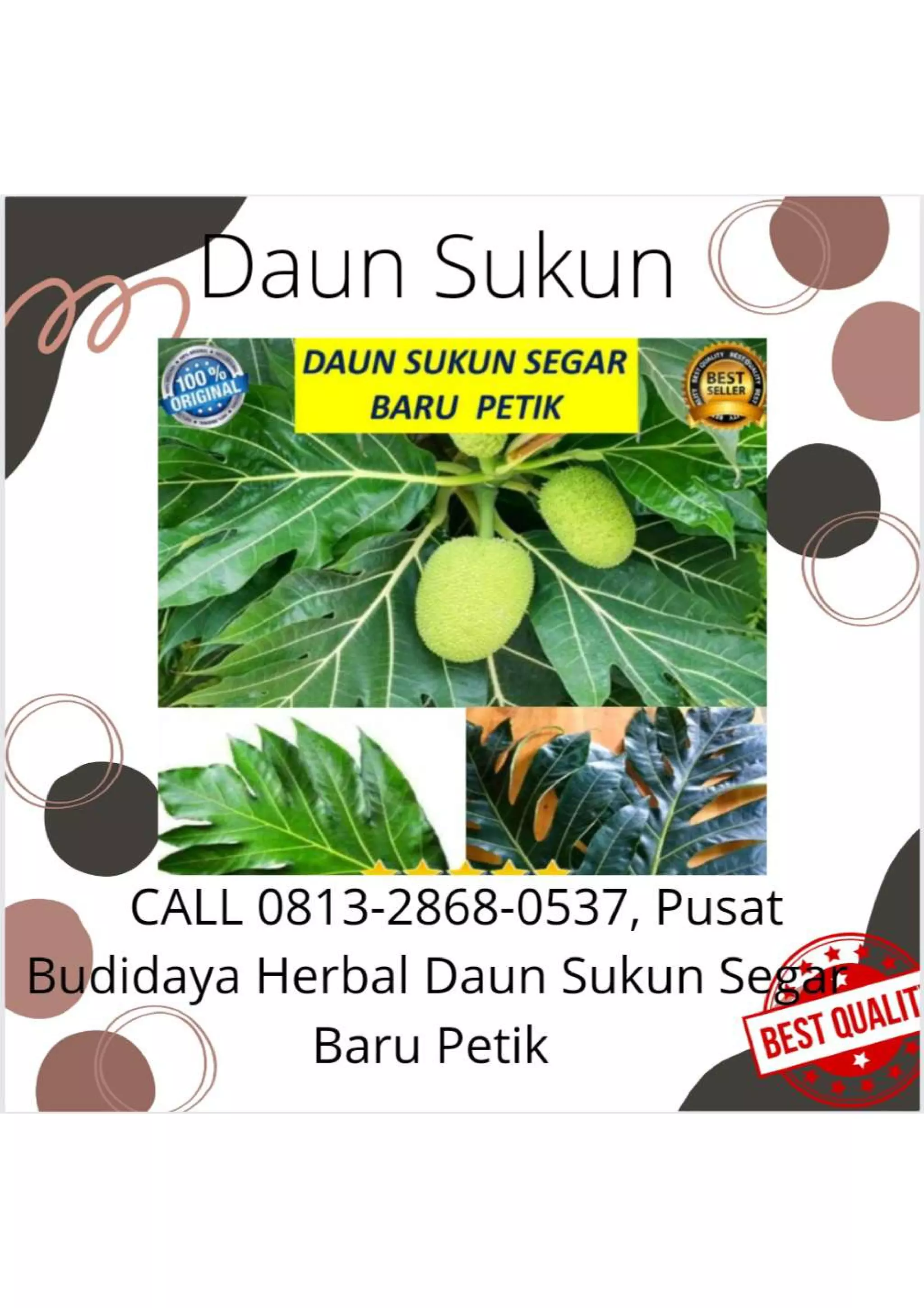 Daun 1 | PDF