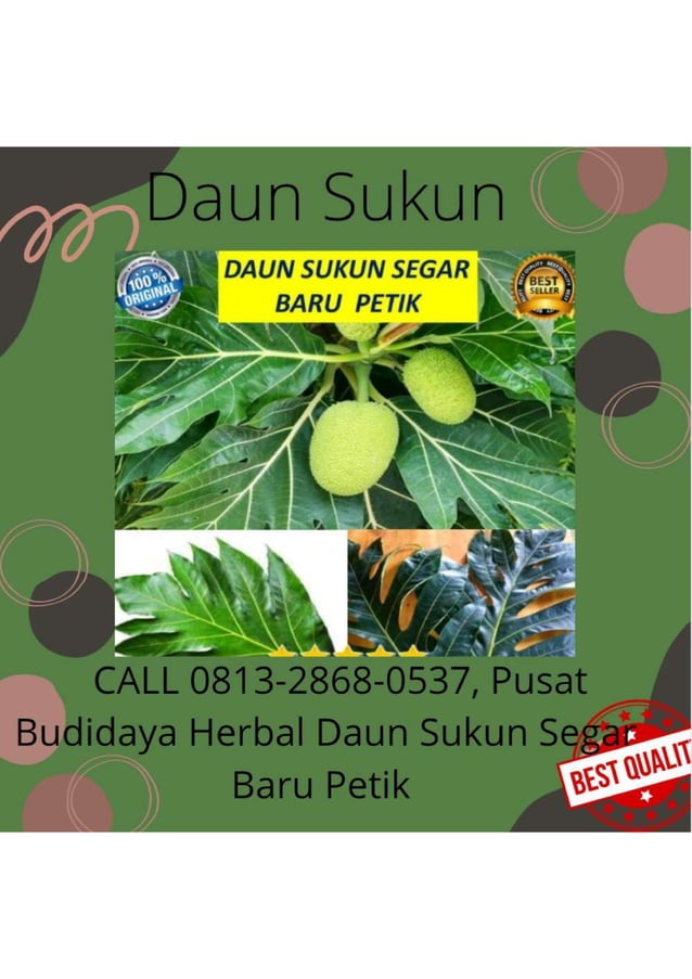 Daun 3 | PDF