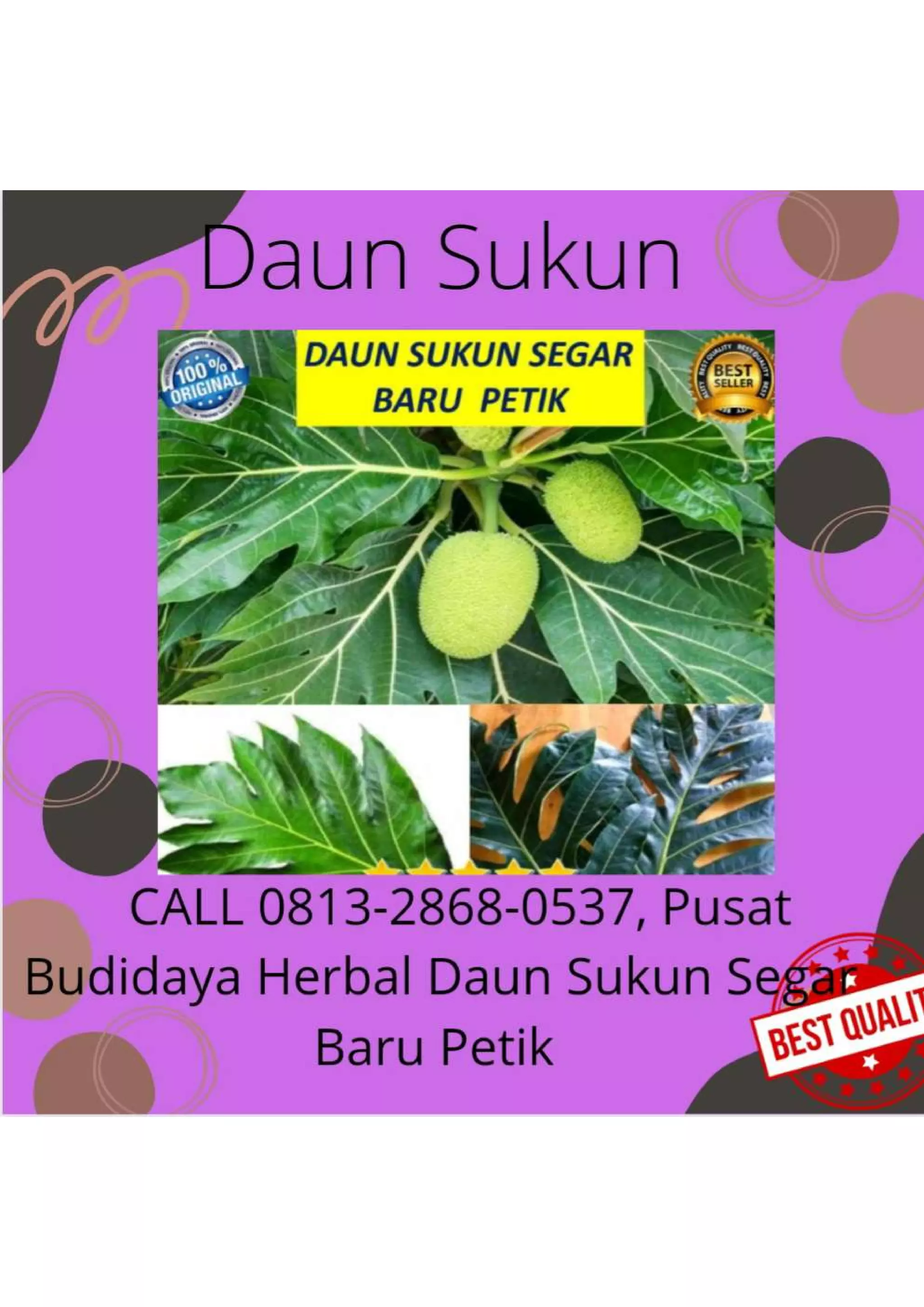 Daun 5 | PDF