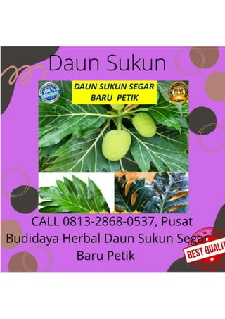Daun 5 | PDF