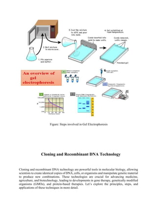 Introduction to technique in marine microbiology | PDF
