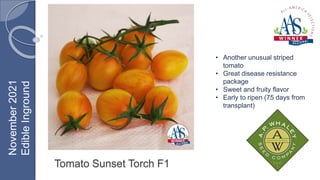 2022 AAS Winners.pptx