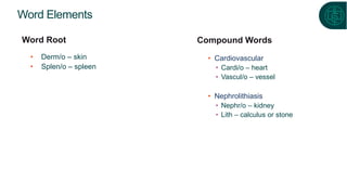 2022 CPC Chapter 02_Medical Terminology and Anatomy Review.pptx