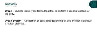 2022 CPC Chapter 02_Medical Terminology and Anatomy Review.pptx