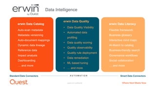 Who Should Own Data Governance – IT or Business? | PPT