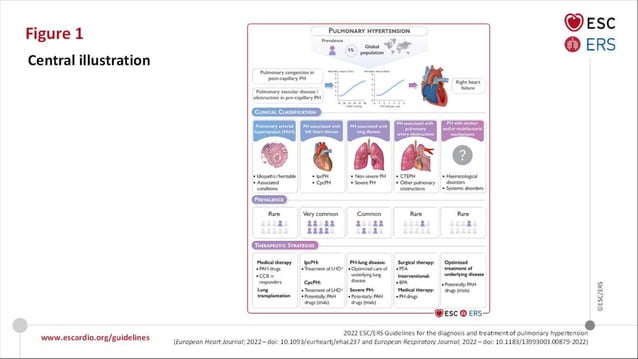 2022 ESC Guidelines diagnosis and treatment of pulmonary hypertension | PPT