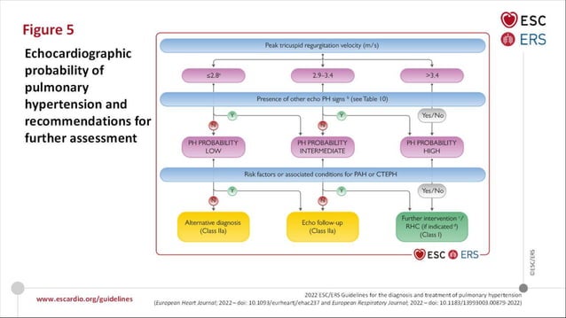 2022 ESC Guidelines diagnosis and treatment of pulmonary hypertension | PPT