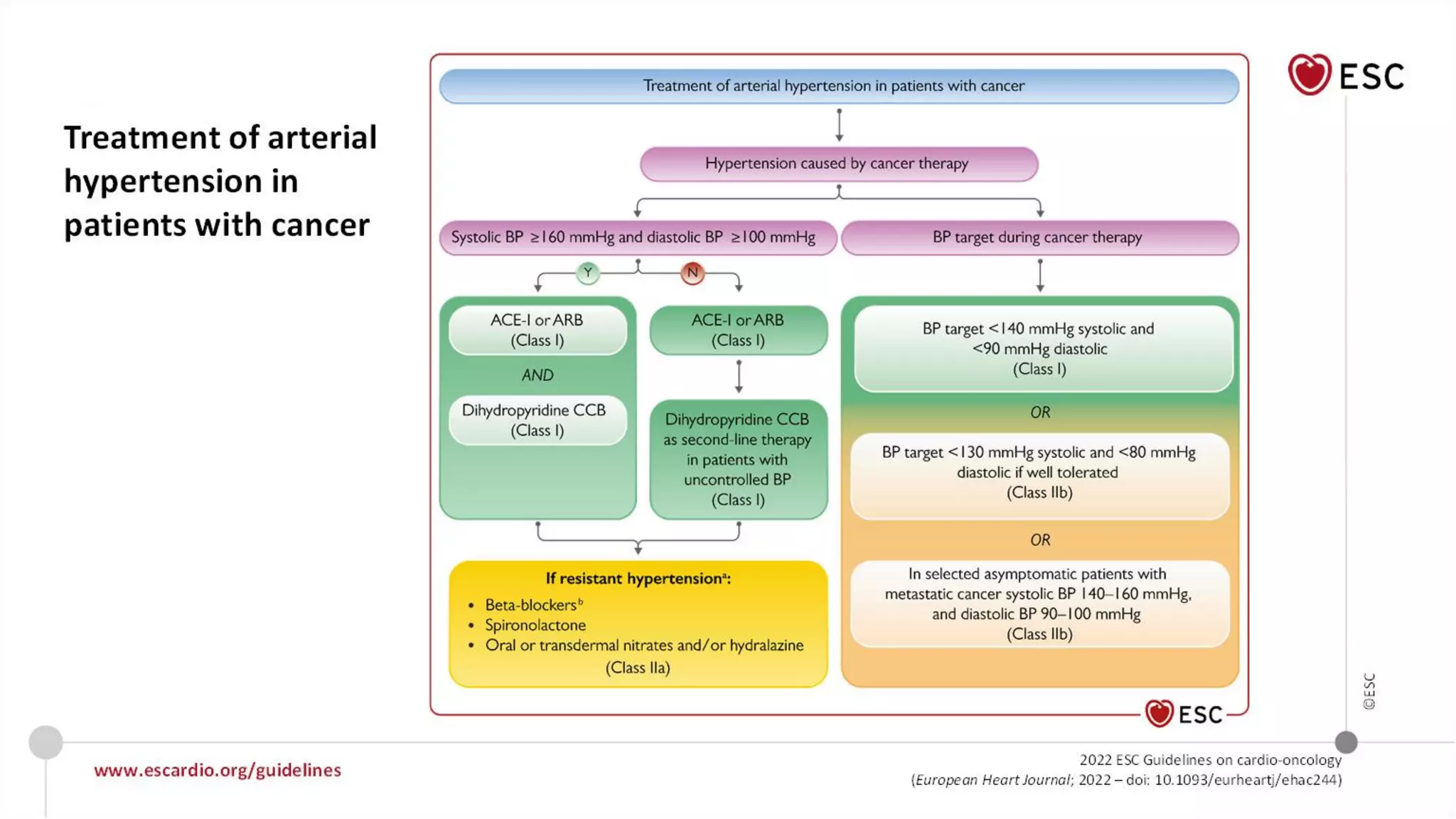 Cardio oncology guidelines ESC 2022 | PDF