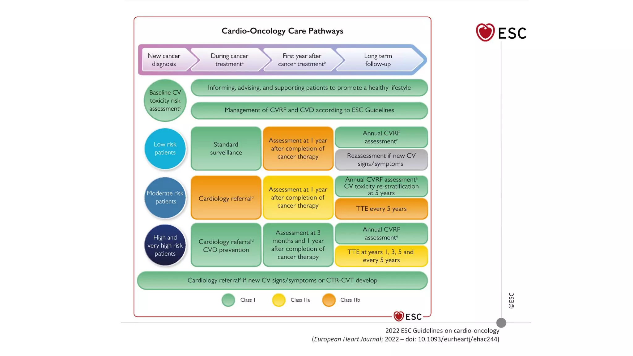 Cardio oncology guidelines ESC 2022 | PDF