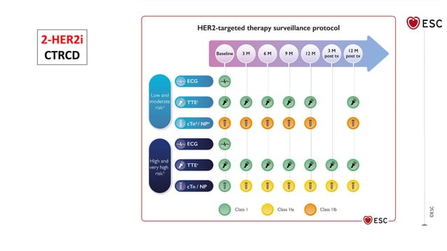 Cardio oncology guidelines ESC 2022 | PDF