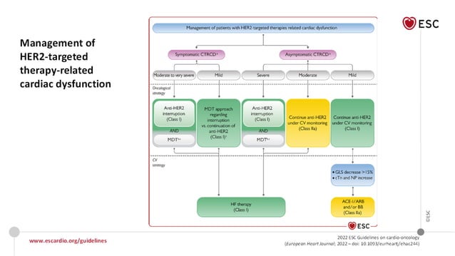 Cardio oncology guidelines ESC 2022 | PDF