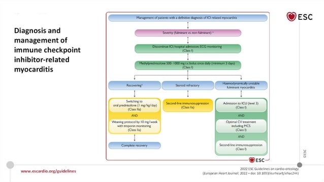Cardio oncology guidelines ESC 2022 | PDF