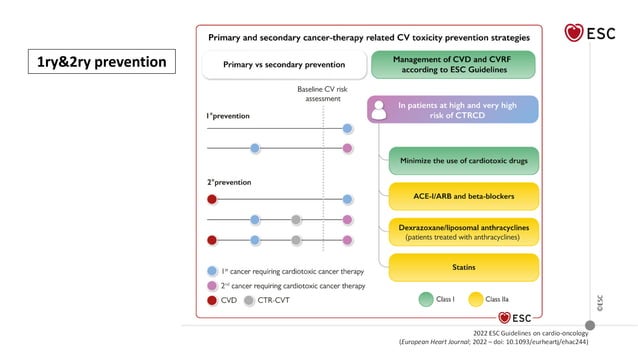 Cardio oncology guidelines ESC 2022 | PDF