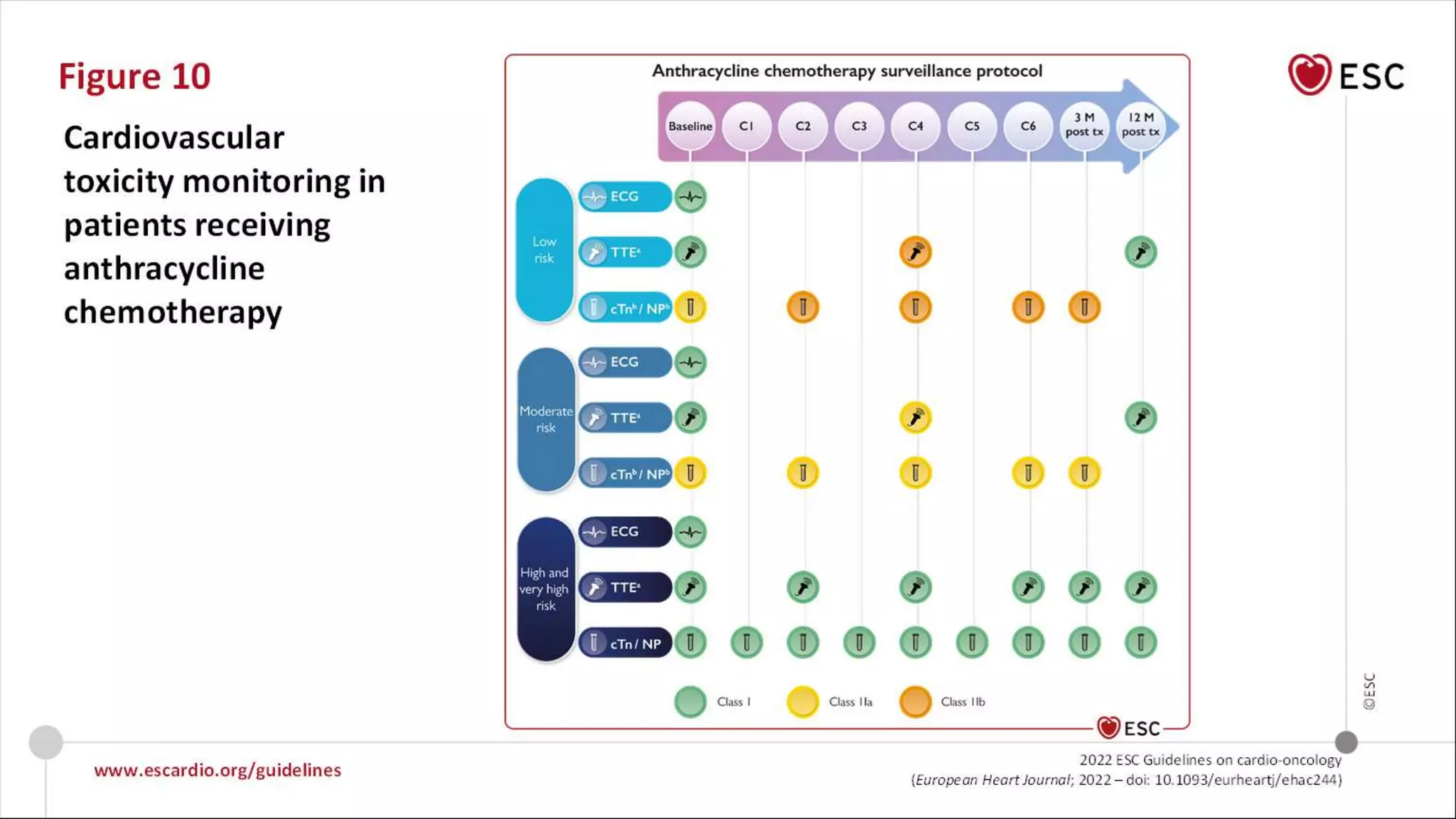 2022 ESC guidelines of Cardio Oncology | PPTX