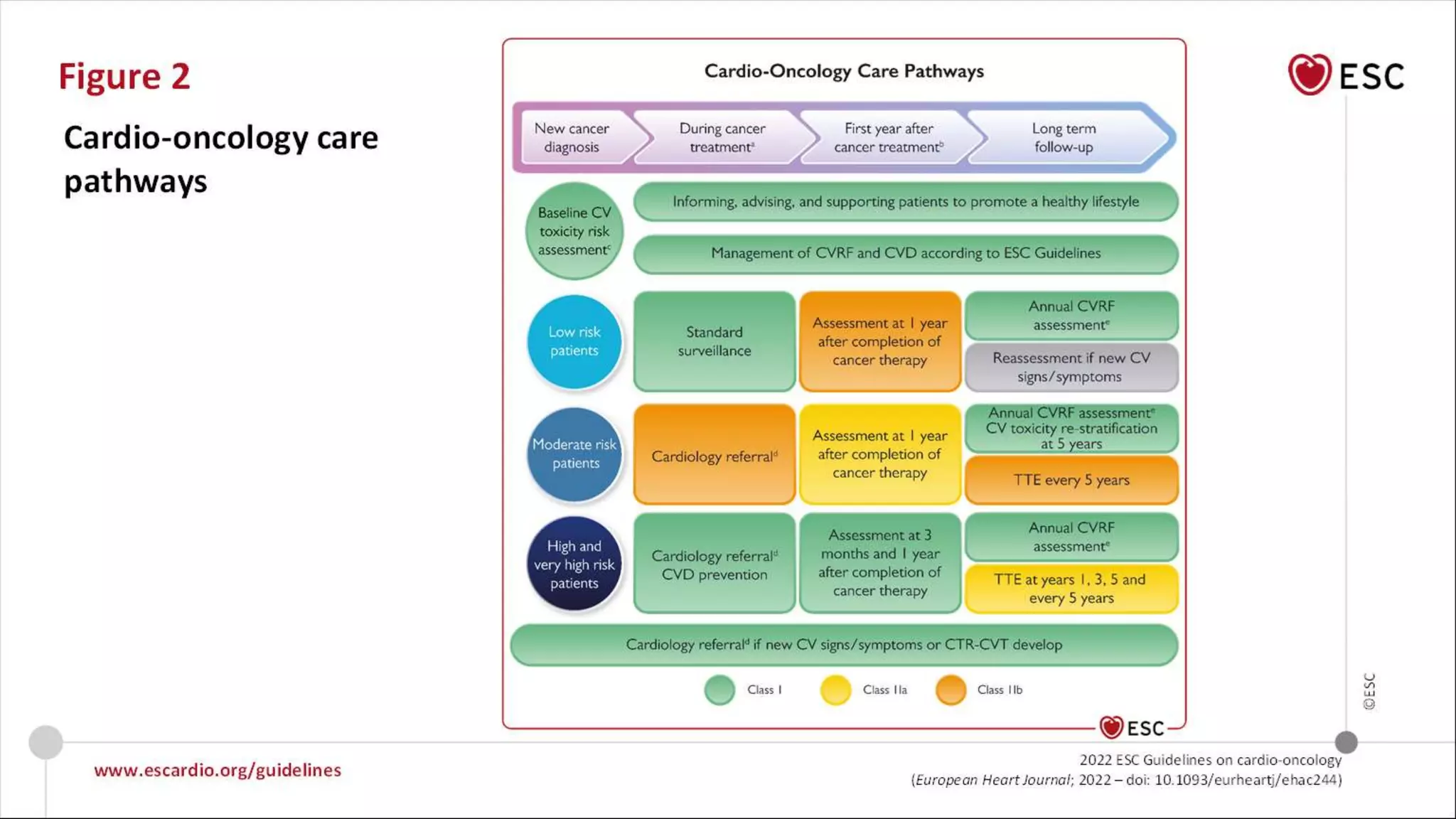 2022 ESC guidelines of Cardio Oncology | PPTX