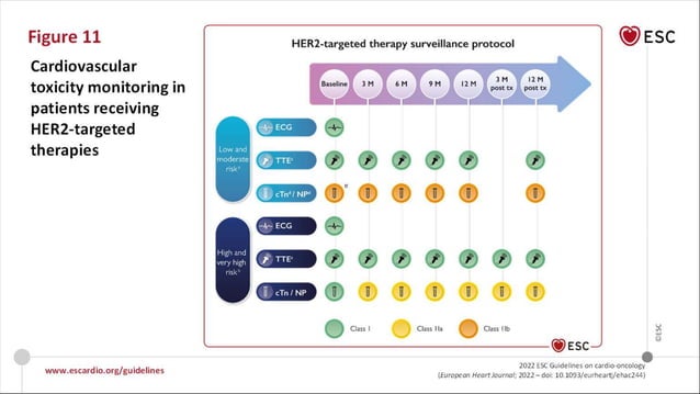 2022 ESC guidelines of Cardio Oncology
