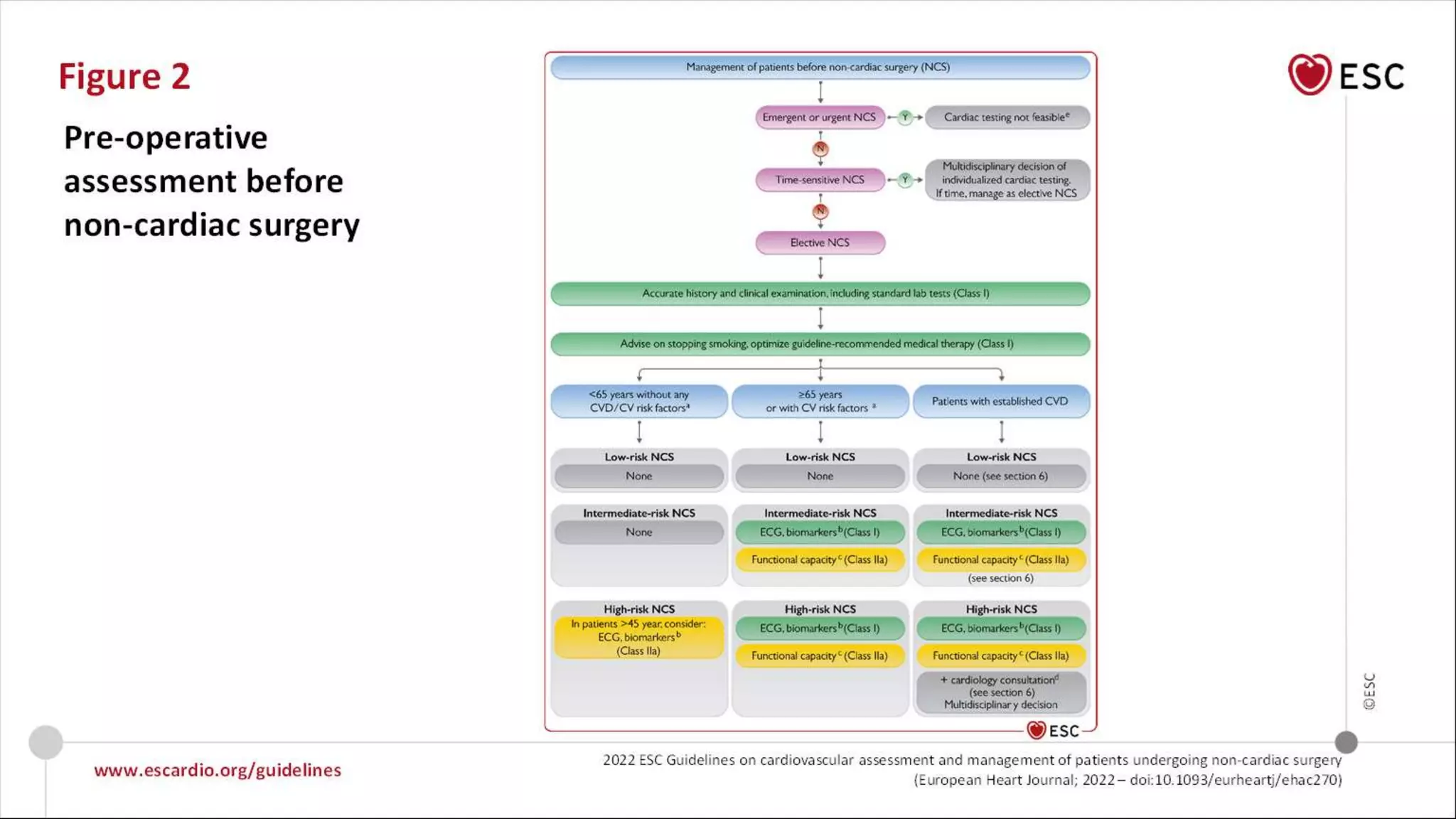 2022 ESC Guidelines Non Cardiac Surgery.pptx