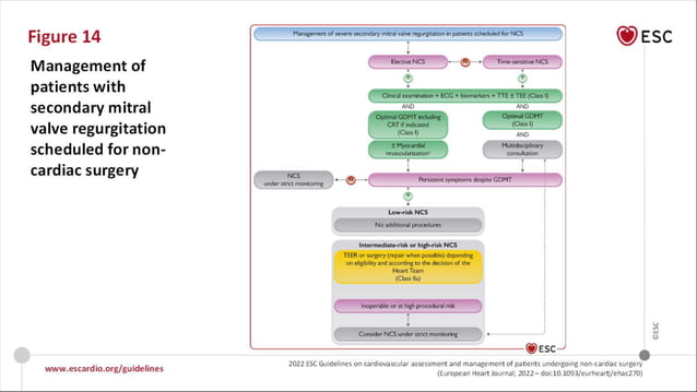 2022 ESC Guidelines Non Cardiac Surgery.pptx