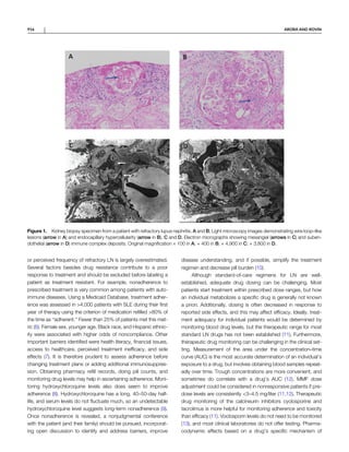 2022 Expert Perspective An Approach to Refractory Lupus Nephritis (2).pdf
