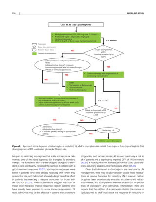 2022 Expert Perspective An Approach to Refractory Lupus Nephritis (2).pdf