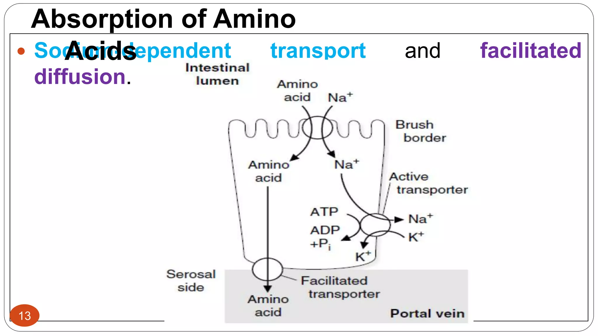 2022 GIT Biochemistry.pptx