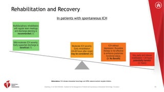2022 Guideline for the Management of Patients With Spontaneous ICH ...