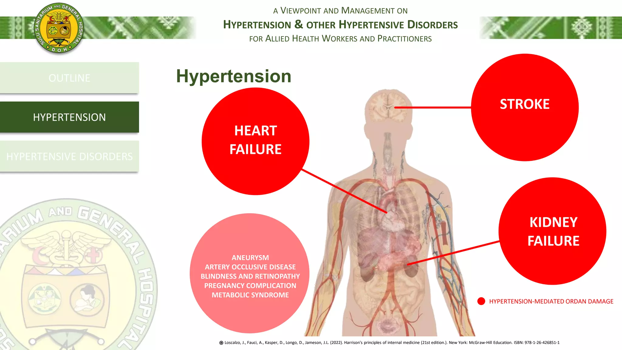 2022 Hypertension Lecture Updated Guidelines Pdf