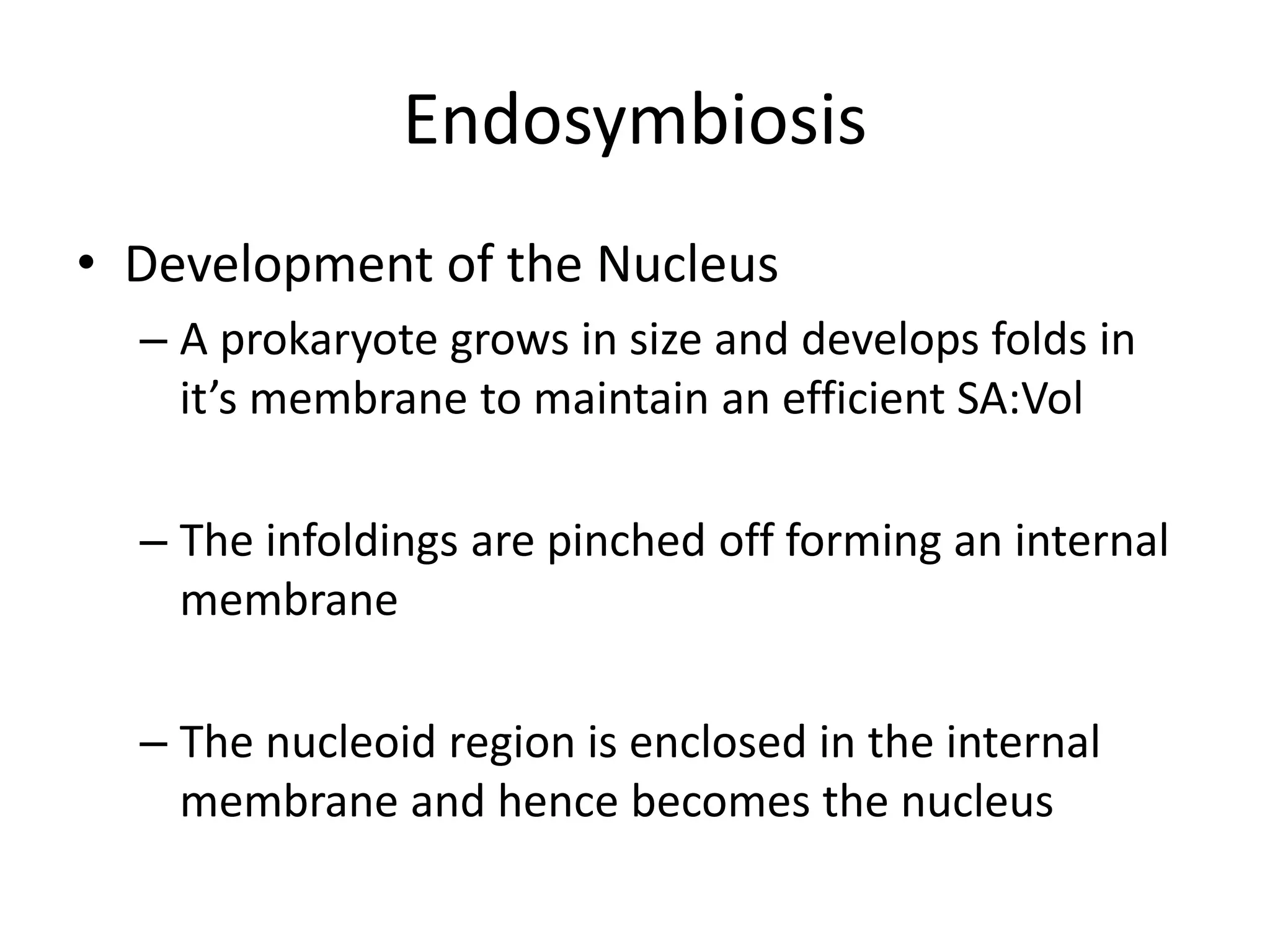 IB BIOLOGY ORIGIN OF CELLS | PPT