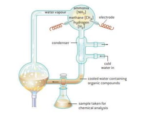IB BIOLOGY ORIGIN OF CELLS | PPT