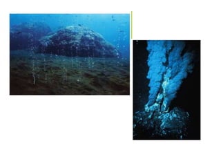 IB BIOLOGY ORIGIN OF CELLS | PPT